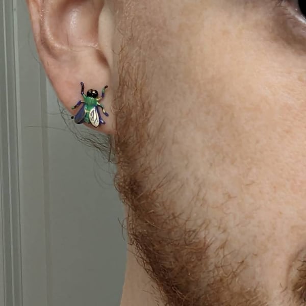 Bug Earrings, Fly Earrings, Bugs, Insect Earrings, Creepy Earrings ...