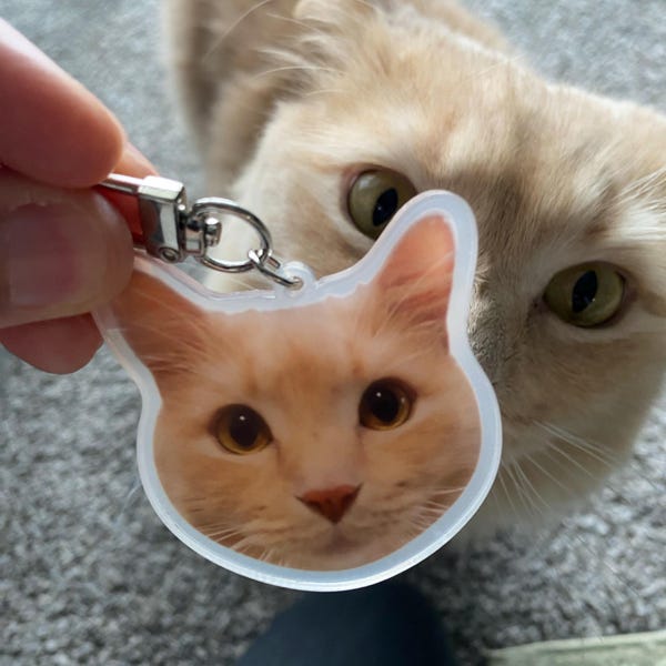 Custom Cat Keychain, Dog Keychain, Pet Keychain, Personalized Pet Photo ...