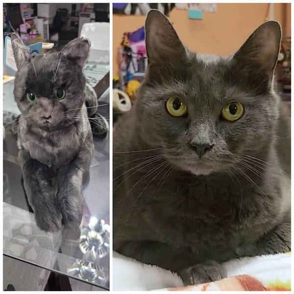 Custom Pet Stuffed Animals: Photo of Pet Into Custom Stuffed Animal ...