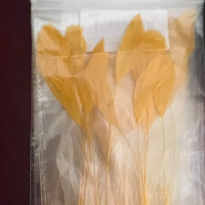 Stripped Feathers, 1 Dozen Golden Yellow Stripped Rooster Coque Tail ...