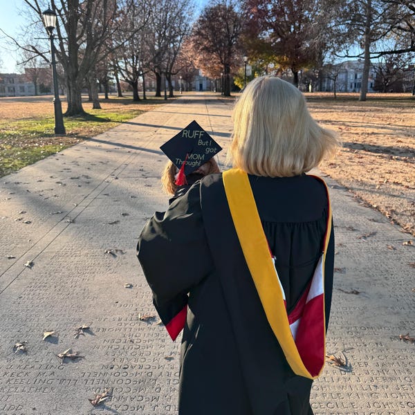 Princess Peach Dog Costume, Mario Kart Costume, Halloween Dog Costume ...