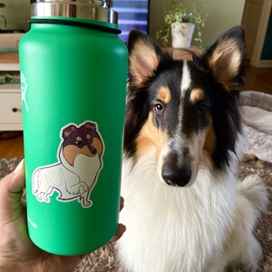 Collie Sticker || Chibi Puppy Dog, Vinyl, Hand Drawn Illustration ...