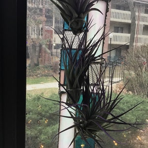 PET DOG CUSTOM Stained Glass Window Decor Sun Catcher - Etsy