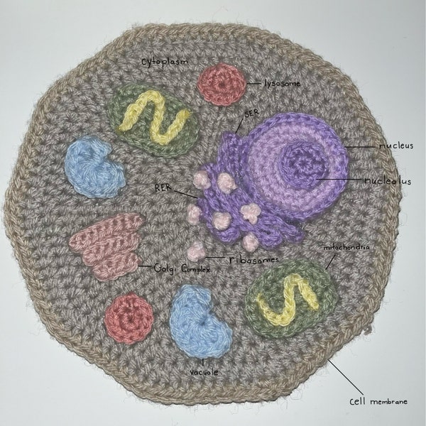 Animal Cell Eukaryotic Mini Pillow Crochet Pattern! PATTERN ONLY! PDF ...