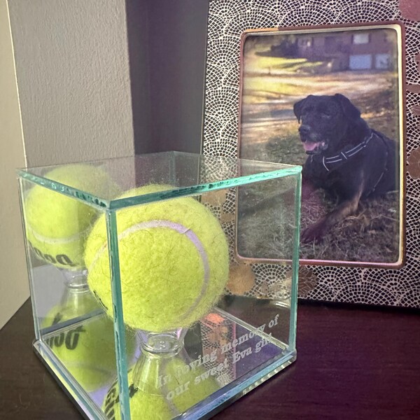 Golf Ball Personalized Glass Display Case With Solid Oak Wood Base With ...