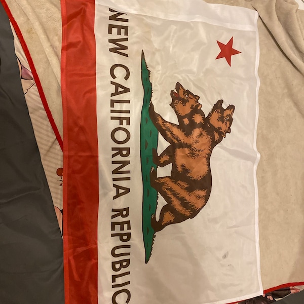 Fallout Enclave Flag - Etsy