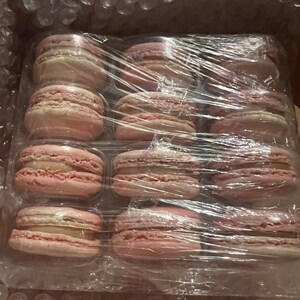Pink French Macarons Ombre White to Pink Fading Macarons Pack Baby ...