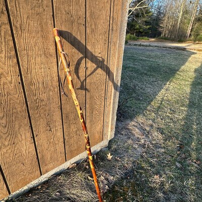 Shepherd Staff 60 Oak Staff Handmade in the USA Strong Sheep Herding ...