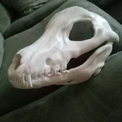 Piercings Packs for Ears for Fursuit/furry/cosplay - Etsy
