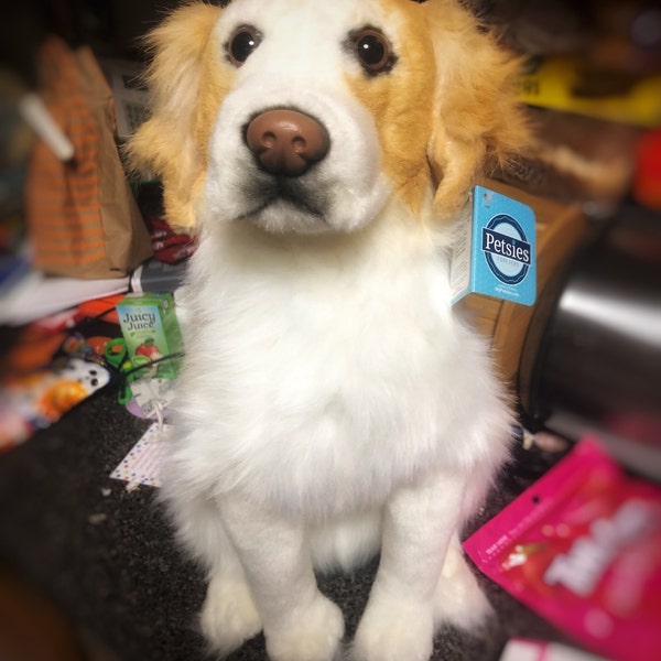 Custom Pet Plush - Stuffed Animal of Pet From Photo, Dog Into Custom ...