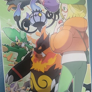 Sootopolis Gym Leader Juan - Etsy