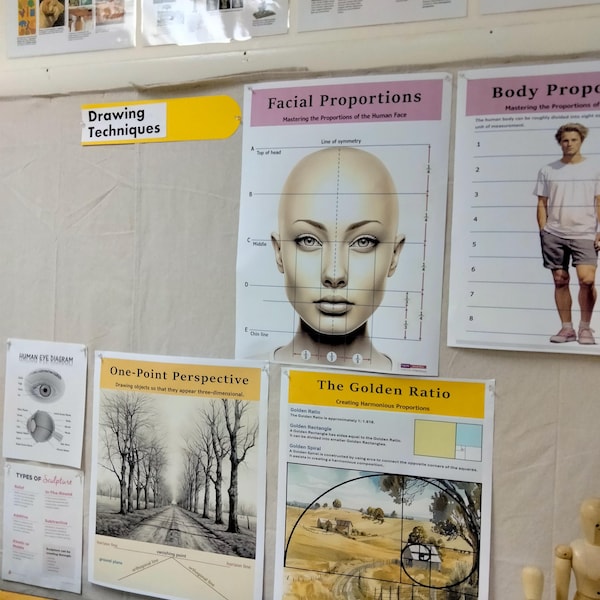 Animal and Plant Cells Classroom Poster – Engaging Science Classroom ...