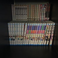MANGA/ANIME Book Shelf Riser/organizer, Dvd/cd Organization/storage ...