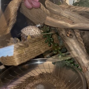 Happy Trail Mix - Etsy