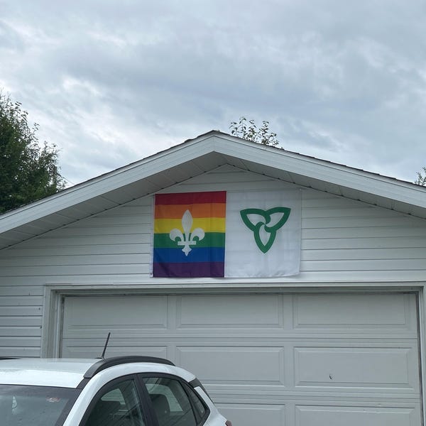 DIGITAL FILE: Printable Extended Pride Flag Reference Guide Includes ...