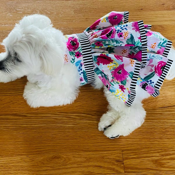 Fun and Bright Floral Dog Dress, Customizable to Your Pets Measurements ...