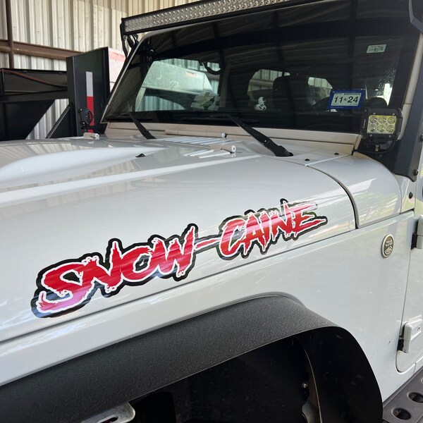 Two Printed Vinyl Hood Decals Custom Name Text Accessories, Hood Decals ...