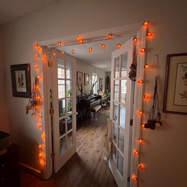 Whimsical Strawberry String Lights | Cascade Light Garland | Indoor ...