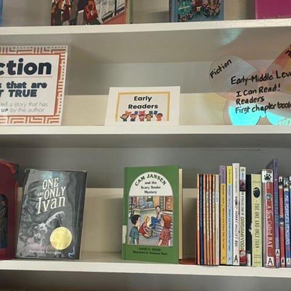 Dewey Decimal Classification Poster Bundle | 10 Printable Posters With ...