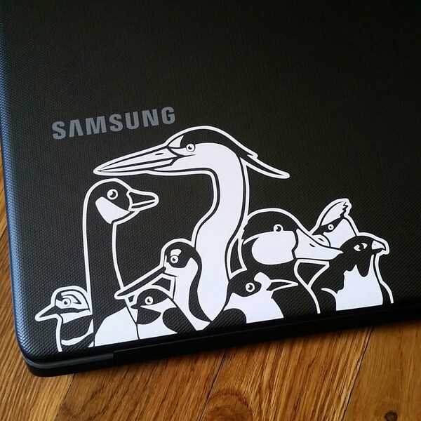 Ohio - Printable Backyard Birds of Ohio Field Guide Print - Bird Art ...