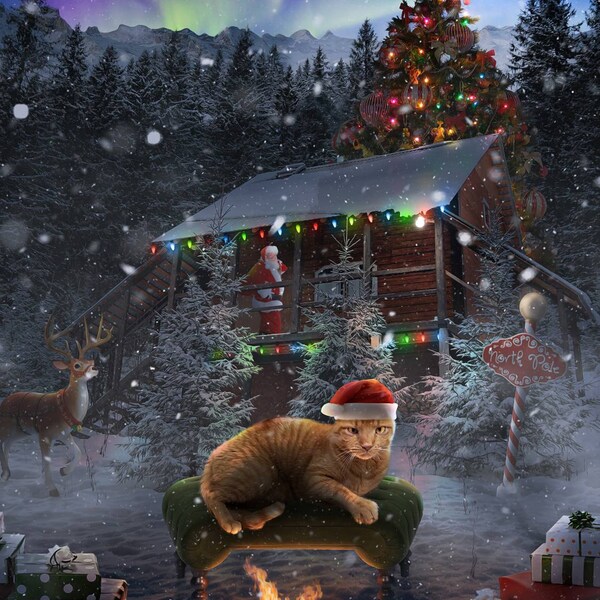 Photo Retouch / Object Removal / Photo Recovery / Professional Camera ...