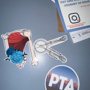 Pelvic Health Physical Therapy Sticker, Floral Physical Therapist, DPT ...