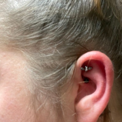 Bat Rook Piercing Jewelry/rook Earring/cartilage Earring/eyebrow Ring ...