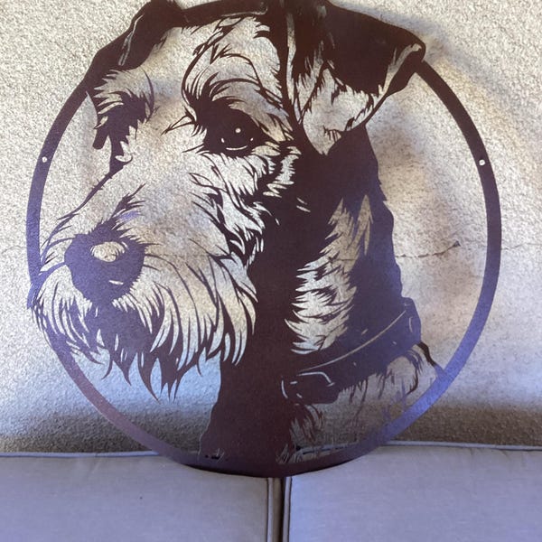 Amish Hex Sign-metal PA Dutch Folk Art-modern Farmhouse-amish Barn Star ...