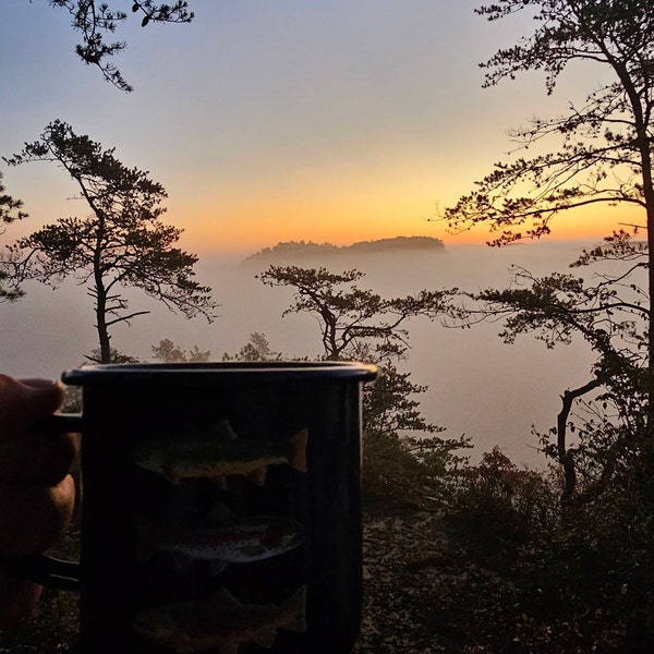 Largemouth Bass Sticker | Vinyl Bass Decal | Waterproof | Bass Sticker ...