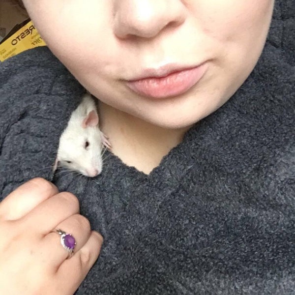 Ratoob, Dark Gray - Etsy