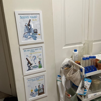 Famous Women Mathematicians Posters set of 8 Printable, Science ...