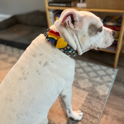 Rifle Paper Co Print Dog Collars 9 Cute Floral Trendy Patterns No ...