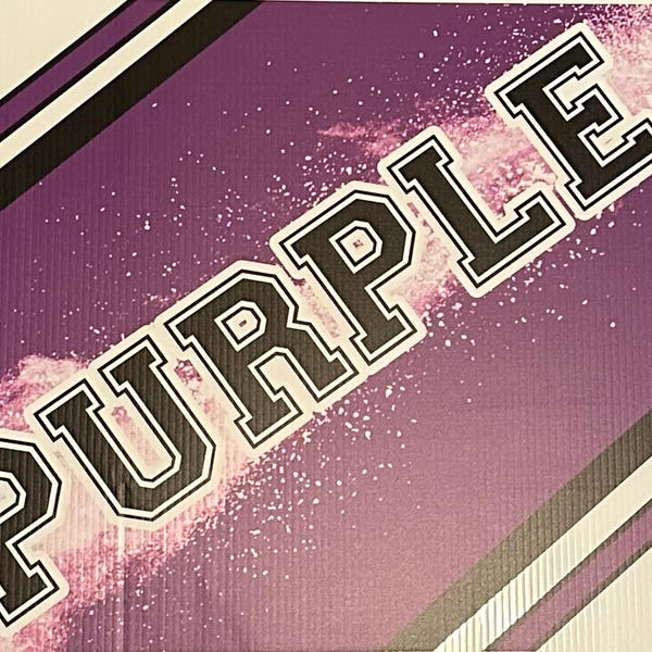 Cheerleading Spirit Stick, Spirit Stick Cheer, Team Gifts Cheer, Pep ...