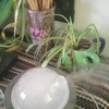Black Ash Luna Glass Dome & Speckled Concrete Diffuser Essential Oil ...