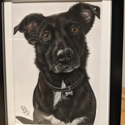 Cockapoo Watercolour Painting Original Hand Painted Framed Pet Art - Etsy