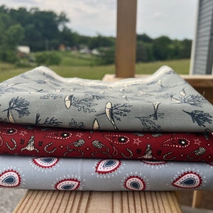 Jane Austen Coverlet Boxed Quilt Kit KT-17450 Riley Blake Designs ...