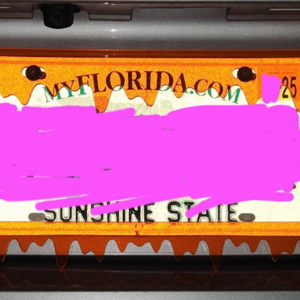 Motorcycle Slime Ooze License Plate Horizontal Frame Cover - JDM Plate ...