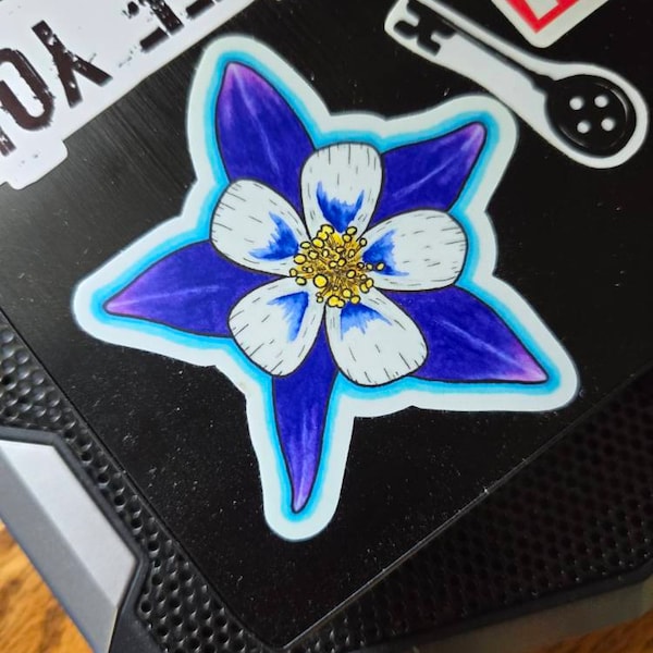 Sticker | Winter Sports | Laptop Sticker | Snowboard Sticker | Flask ...