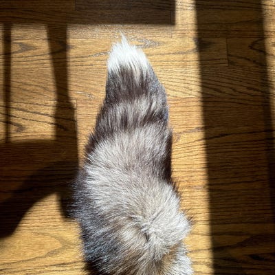 Gray Fox Davy Crockett Style Fur Hat - Etsy