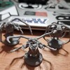 False Hydra Mutation Horror Loathshire Village | the Dragon Trappers ...