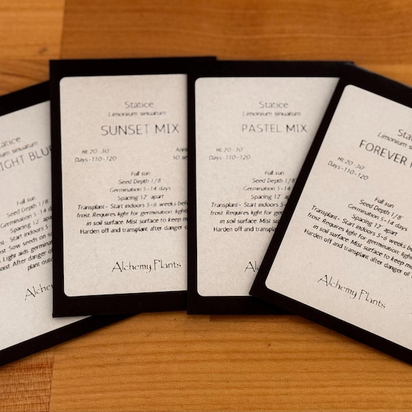 Micro Pepper Hot Pops Purple Ornamental Chili Pepper 15 Seeds - Etsy