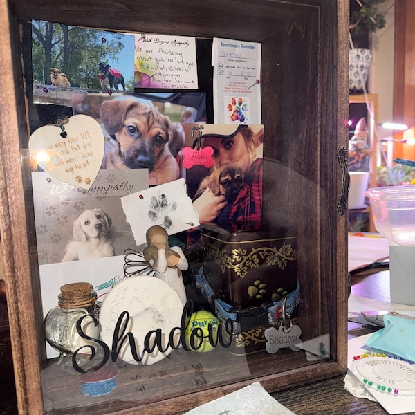 24x36 4” Custom Shadow Box With Lid, 5 Shelves, Wood Backing, Tempered ...