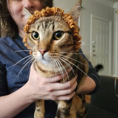 Crochet Pattern: Flared Toque Hat for Cats, PDF Instructions for Cat ...