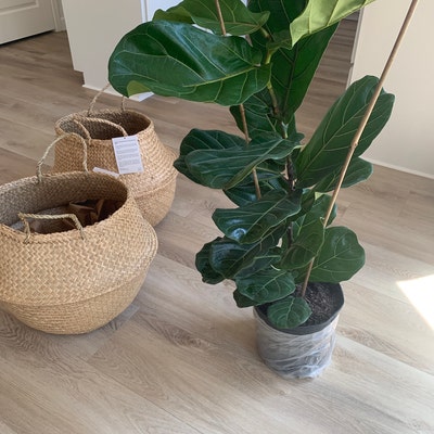 Wicker Natural Woven Storage Basket Seagrass Decorative Basket for ...