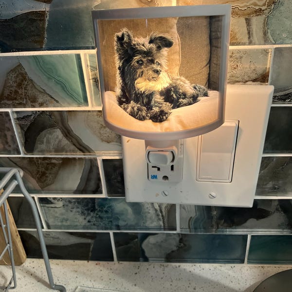 Canvas Owl Night Light, Owl Gift, Plug in Night Light, Barred Owl ...