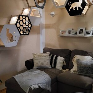 Set of Hexagon Cat Shelfs Included Steps, Cat Furniture , Cat House ...