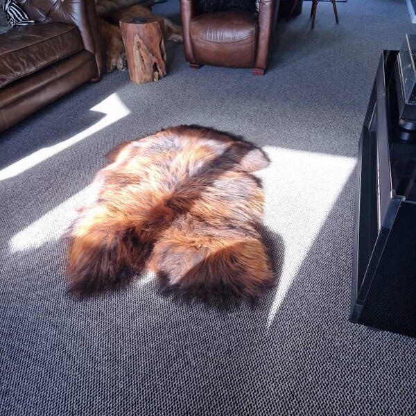 Genuine Icelandic GOLD Sheepskin Rug, Pelt, Carpet, Giant Sheepskin Rug ...