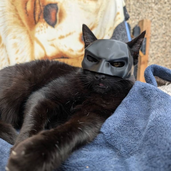 Wolverine Cat Mask - Etsy