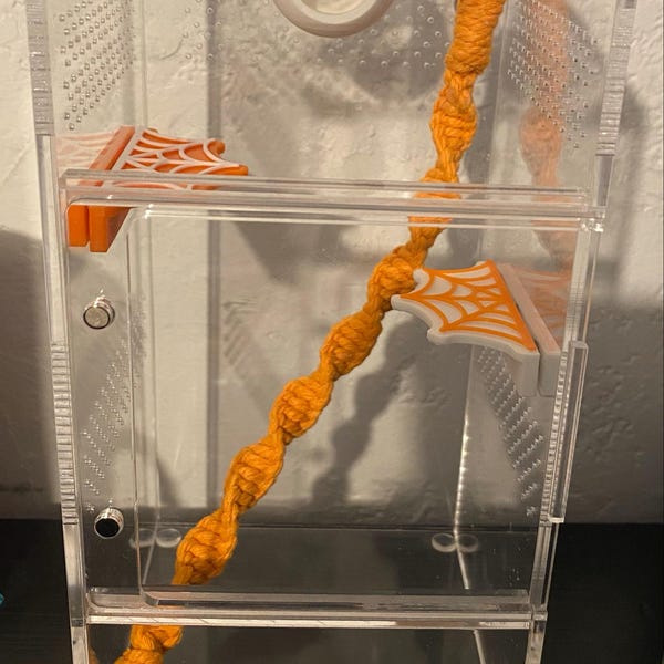 Luna Moth Spider Hide - Etsy