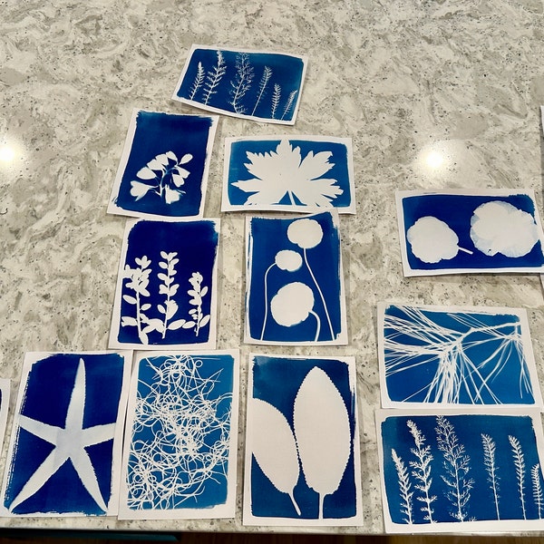 Cyanotype Kit: Easy to Use Sun Printing Kit by Daisy Bow Craft - Etsy